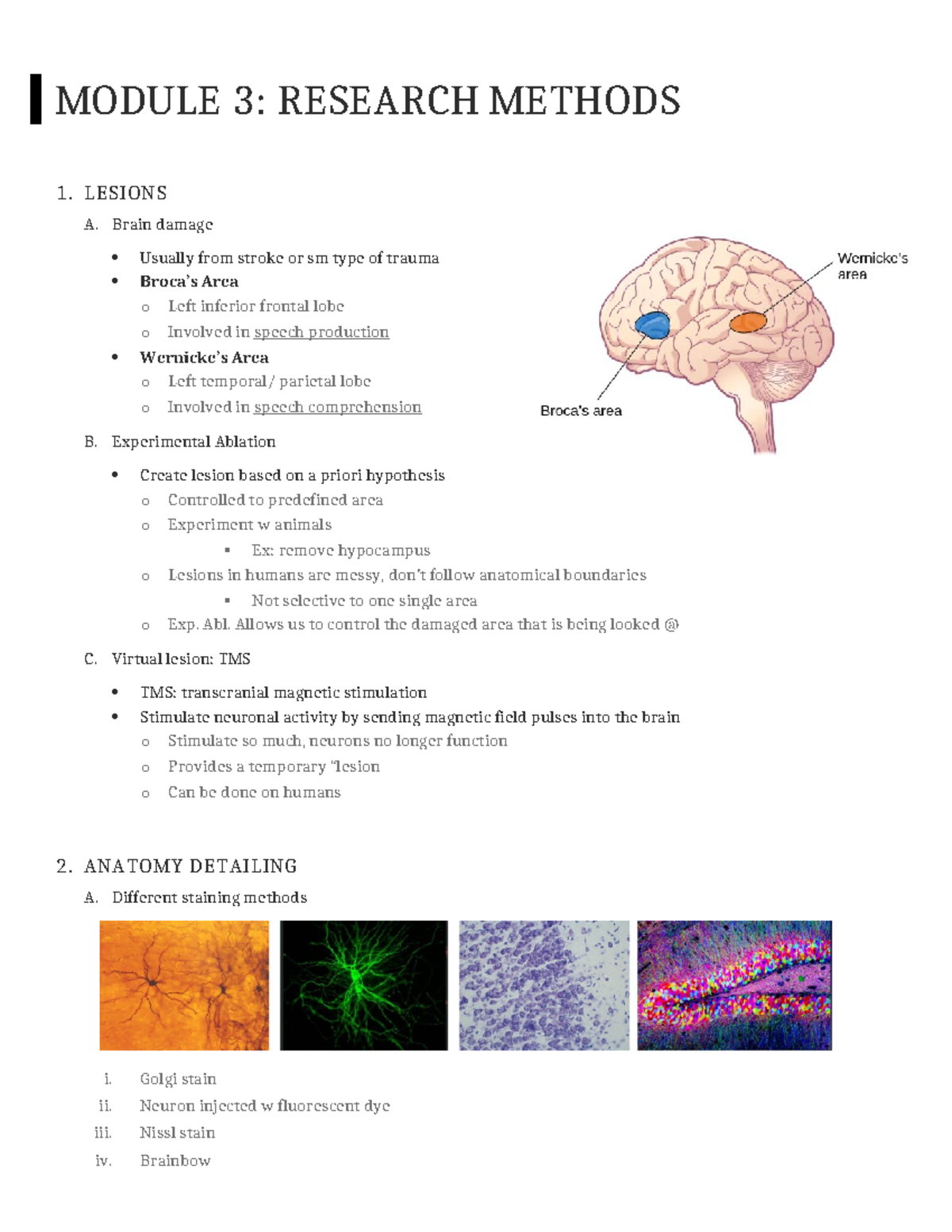 Mod 3: Research Methods in Biopsychology - Lesions & Imaging Techniques ...