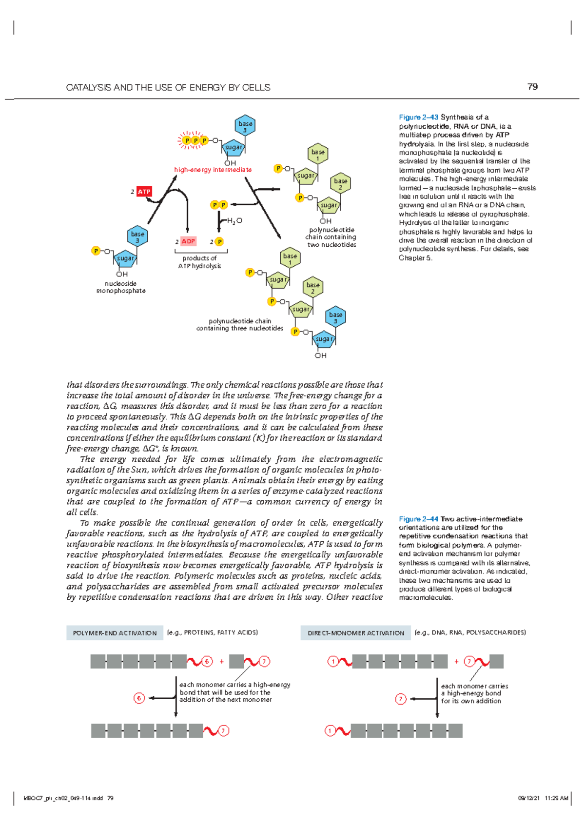 Enzyme Kinetics: Steady-State and Reaction Rates Overview MBOC7 - Studocu