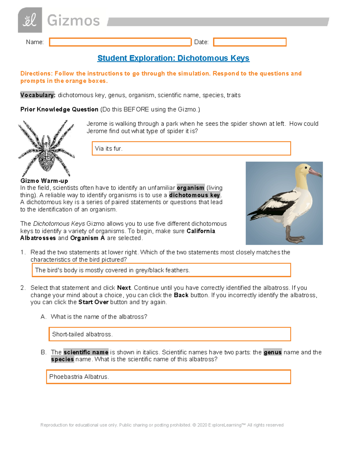 Copy of SE: Dichotomous Keys Exploration Guide - Studocu