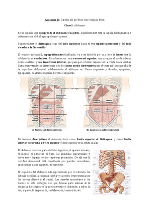 Repaso módulo Pelvis. - Repas módul Pelvi . ¿Qué es el promontorio ...