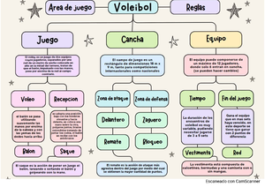 Fases y etapas del remate en voleibol - Introducción El remate es una ...