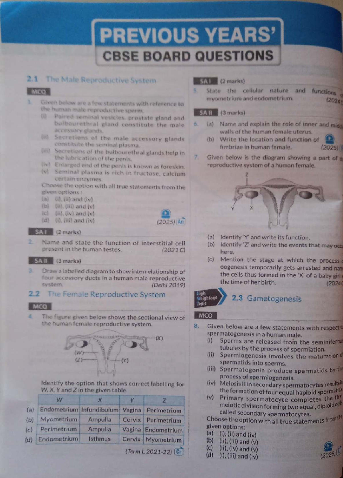 **Title: N301 Final Exam: Human Reproductive System and Gametogenesis ...