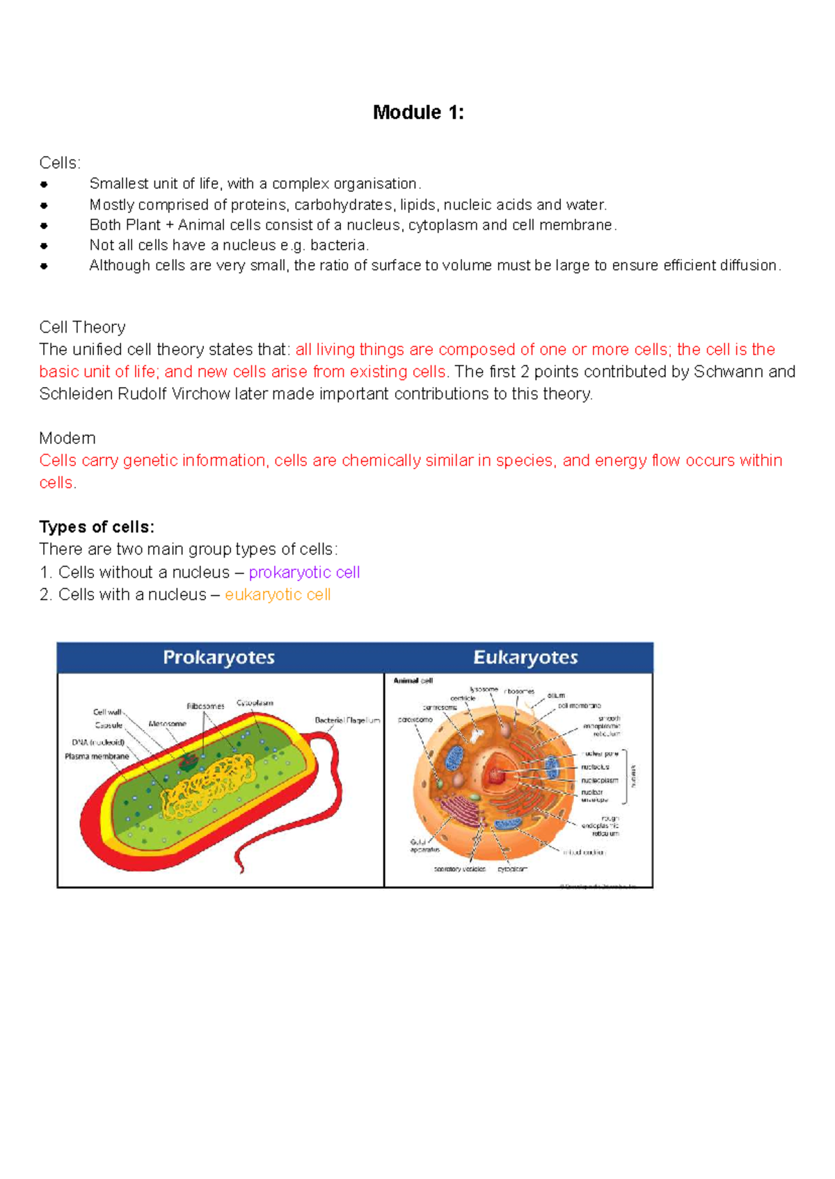 Bio Module 1: Cells - Structure, Types, and Functions Explained - Studocu
