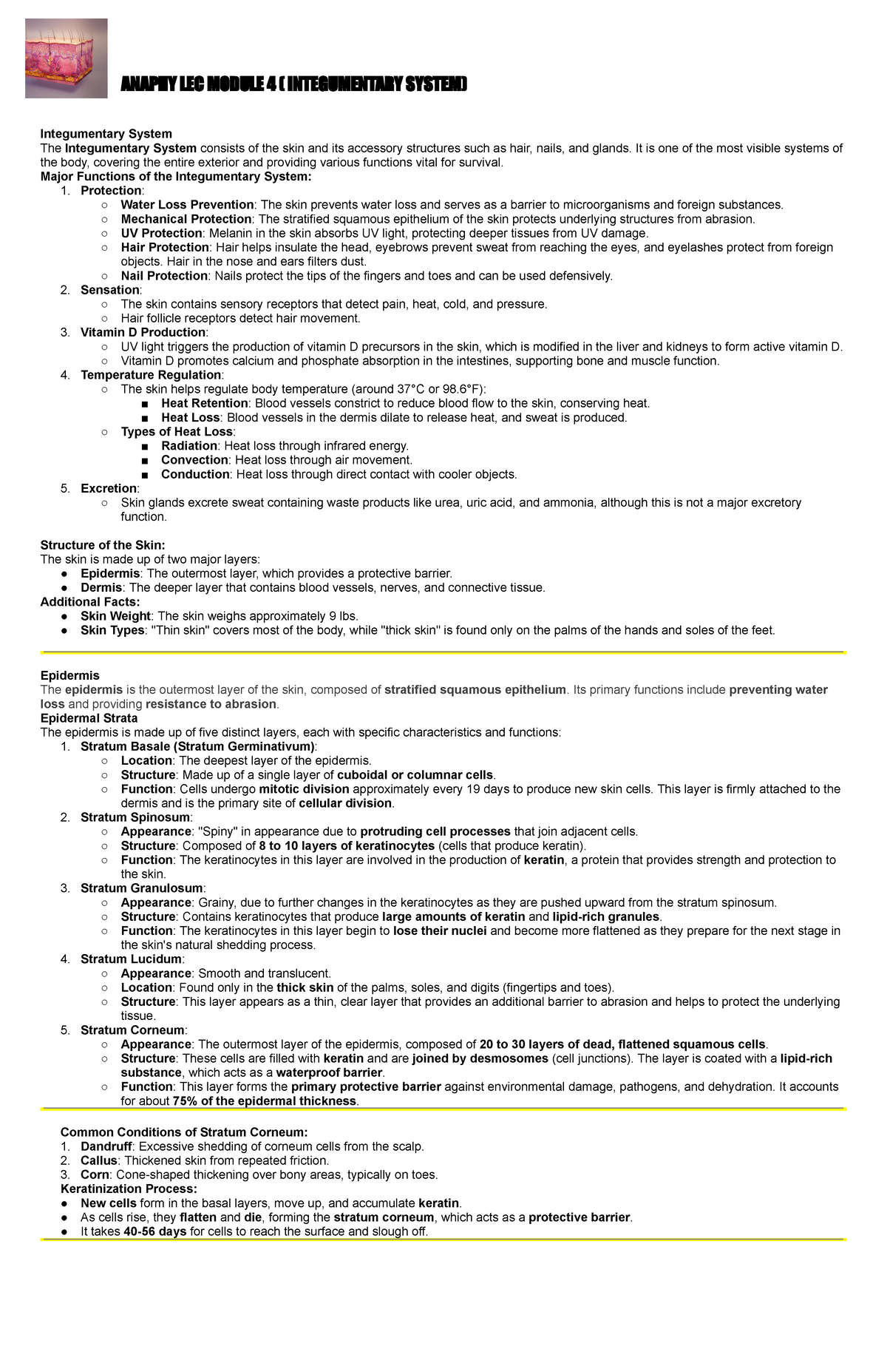 Anaphy LEC Module 4: Comprehensive Guide to the Integumentary System ...