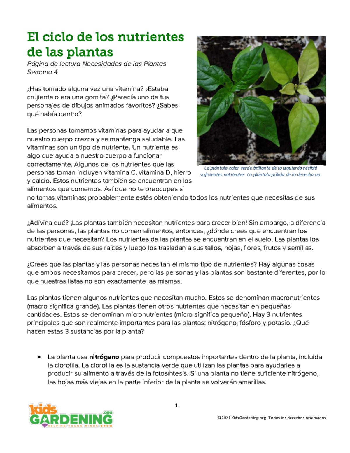 Ciclo de Nutrientes en Plantas - Necesidades y Proceso (Semana 4) - Studocu