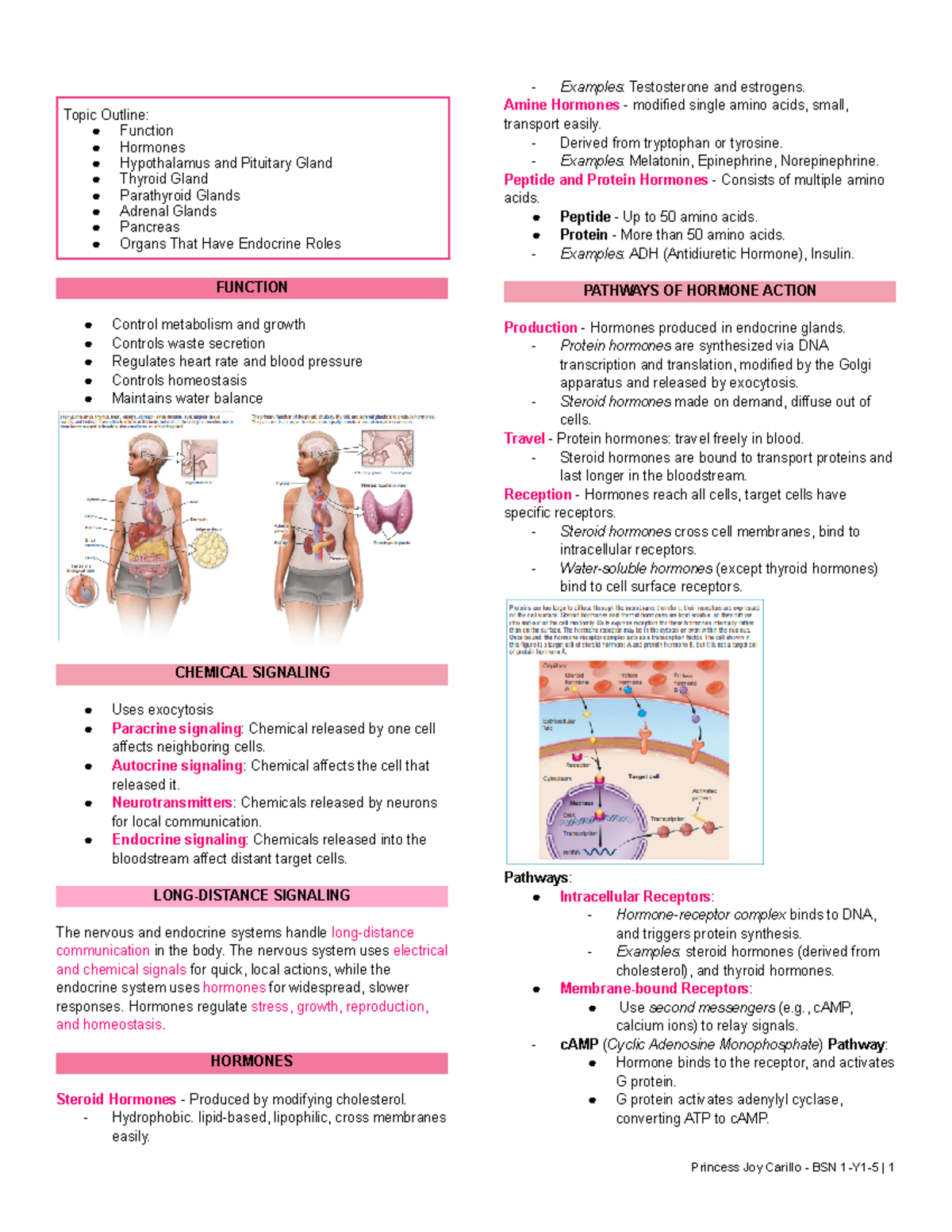 Endocrine System - Topic Outline: Function Hormones Hypothalamus and ...