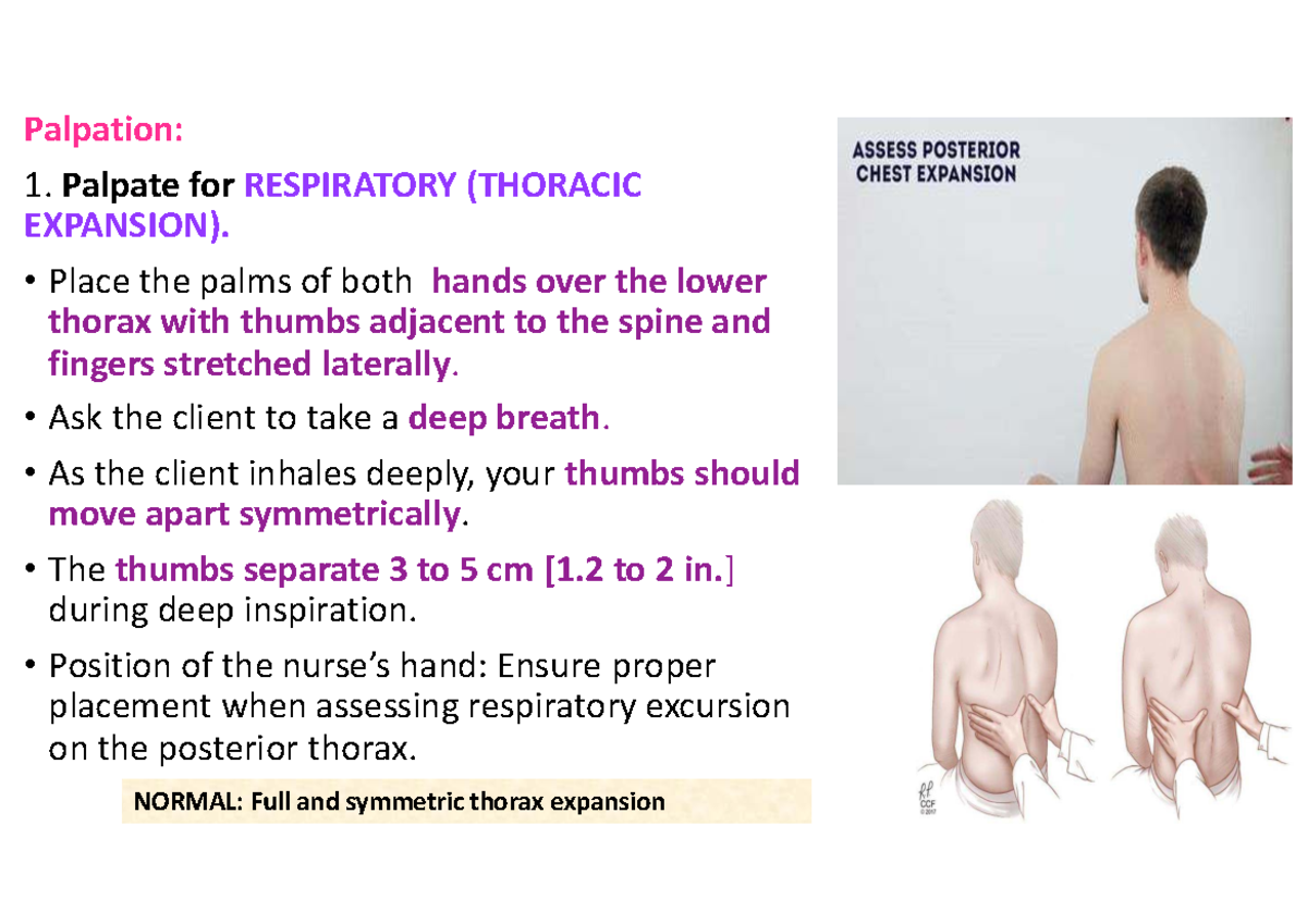 Assessment of Thorax and Lungs: Techniques and Findings - Studocu