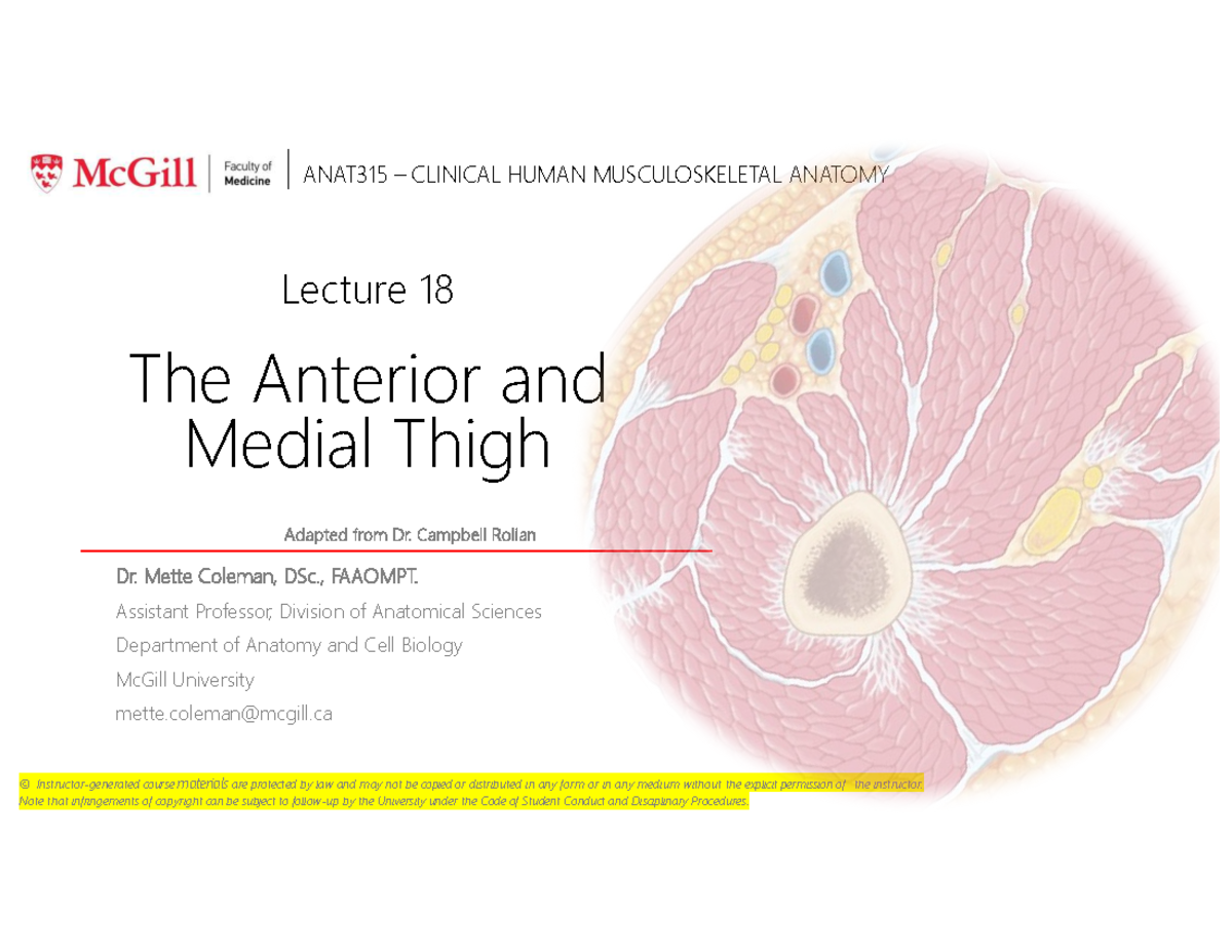 ANAT315 L18: Anterior and Medial Thigh Muscles Overview - Studocu