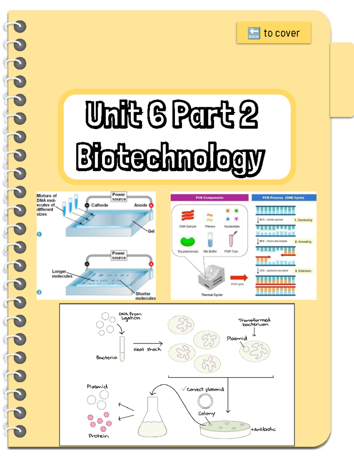 Biotechnology Unit 6: Genetic Engineering Techniques - Studocu
