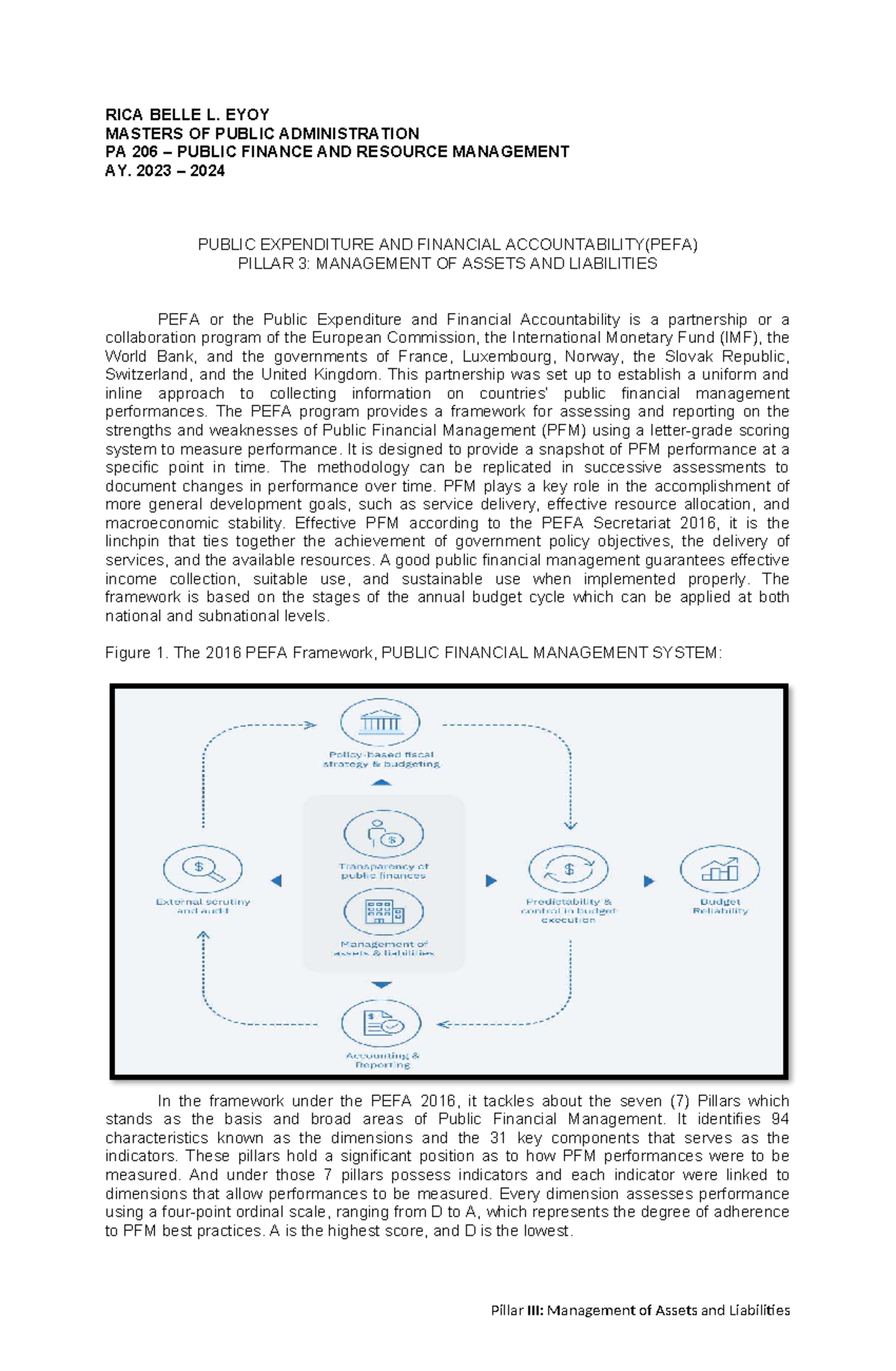 Pillar 3: Management of assets and liabilities in public finance (PA ...