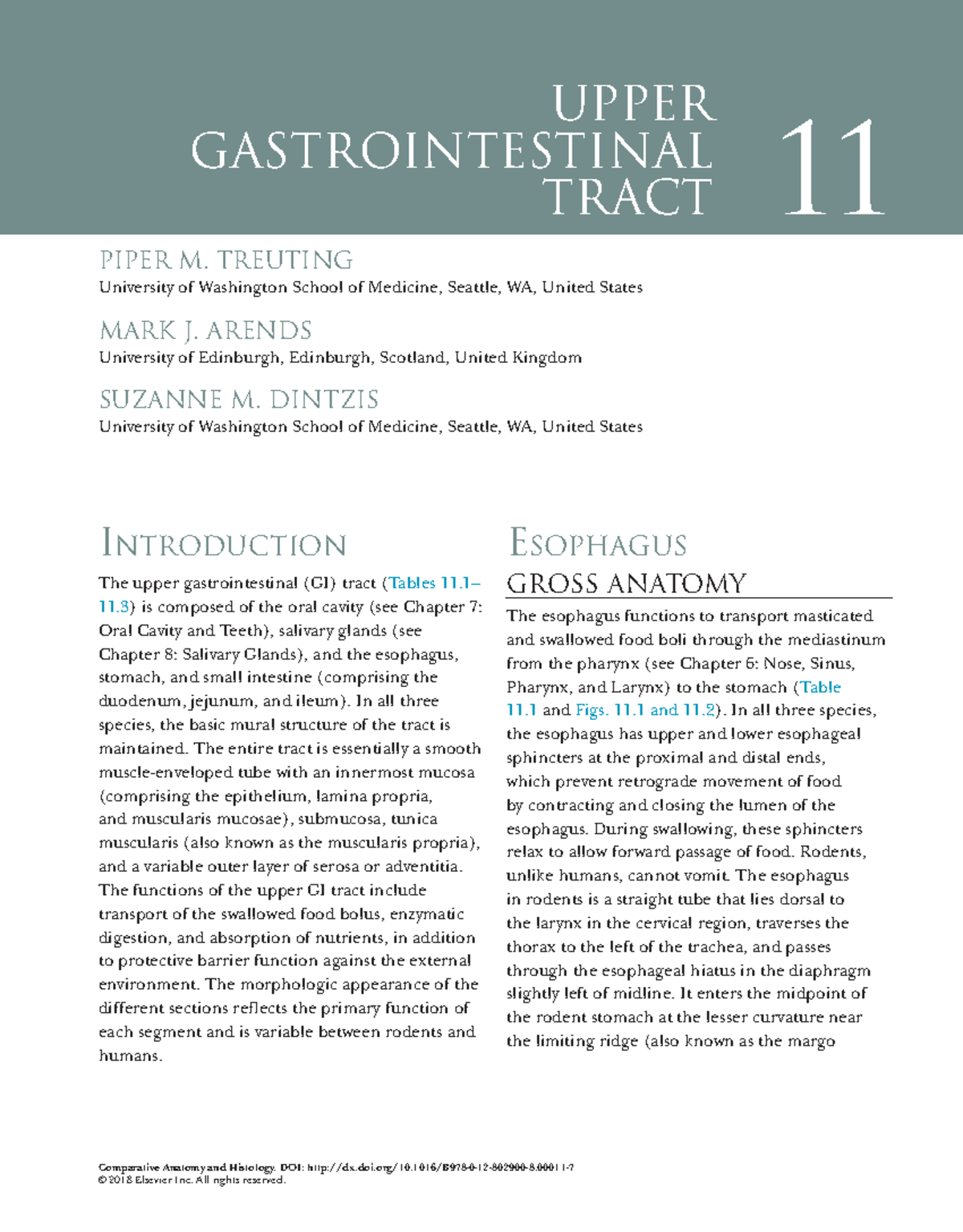 Comparative Anatomy and Histology of the Upper GI Tract (TRACT 11 ...
