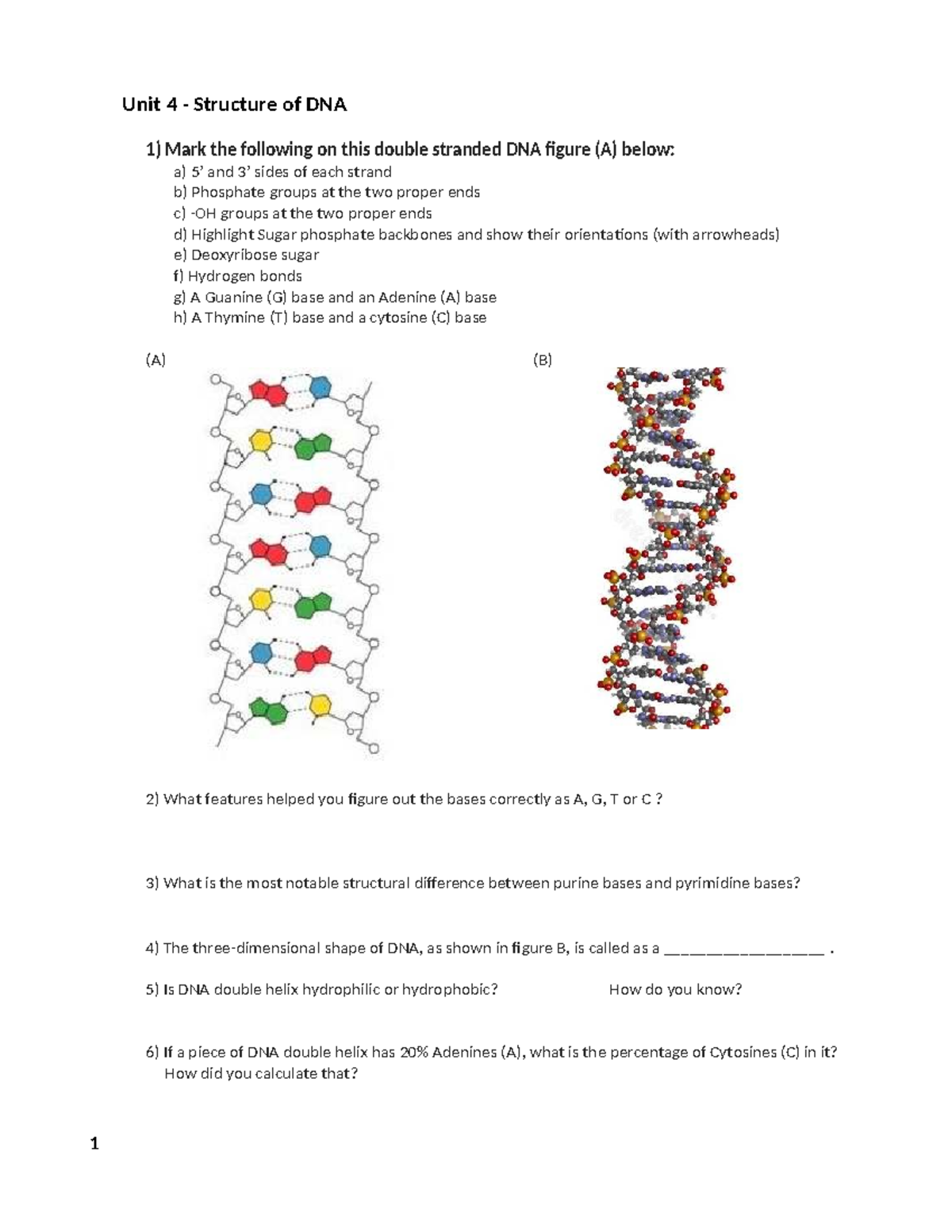Unit 4 - DNA Structure and Function Analysis - Unit 4 - Structure of ...