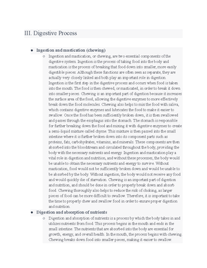 Anatomy of the Digestive System - I. Introduction Definition of the ...
