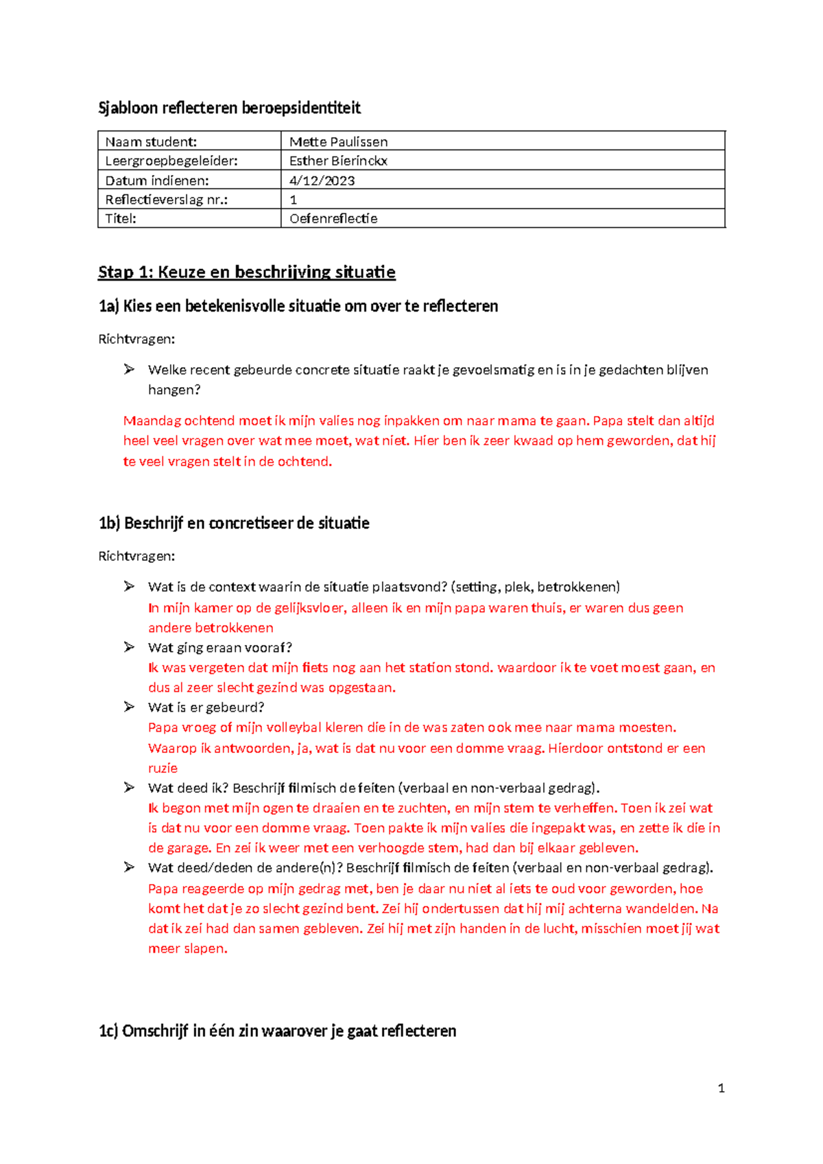 Sjabloon oefenreflectie - Sjabloon reflecteren beroepsidentiteit Naam ...