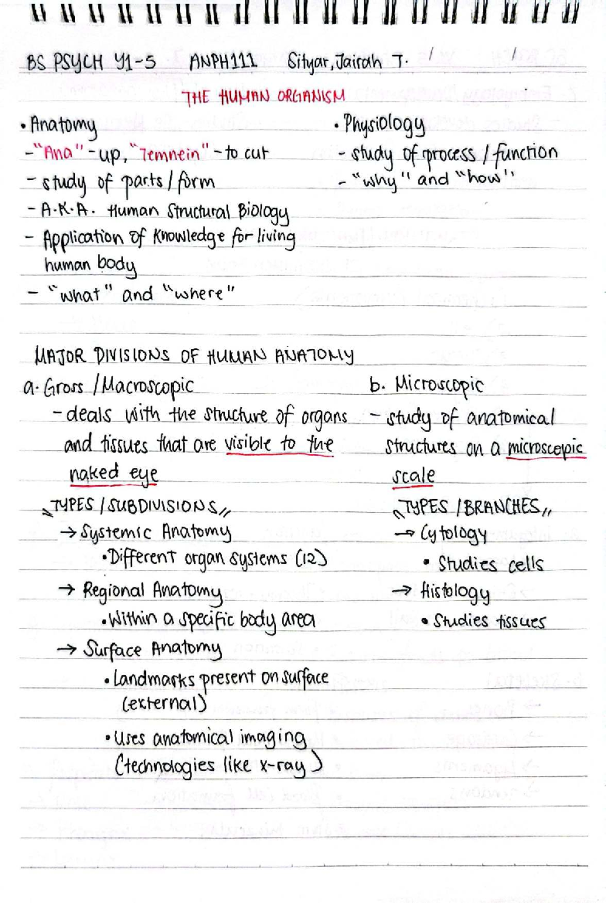 BS PSYCH ANPH411 Final Exam Review: Human Anatomy and Physiology - Studocu