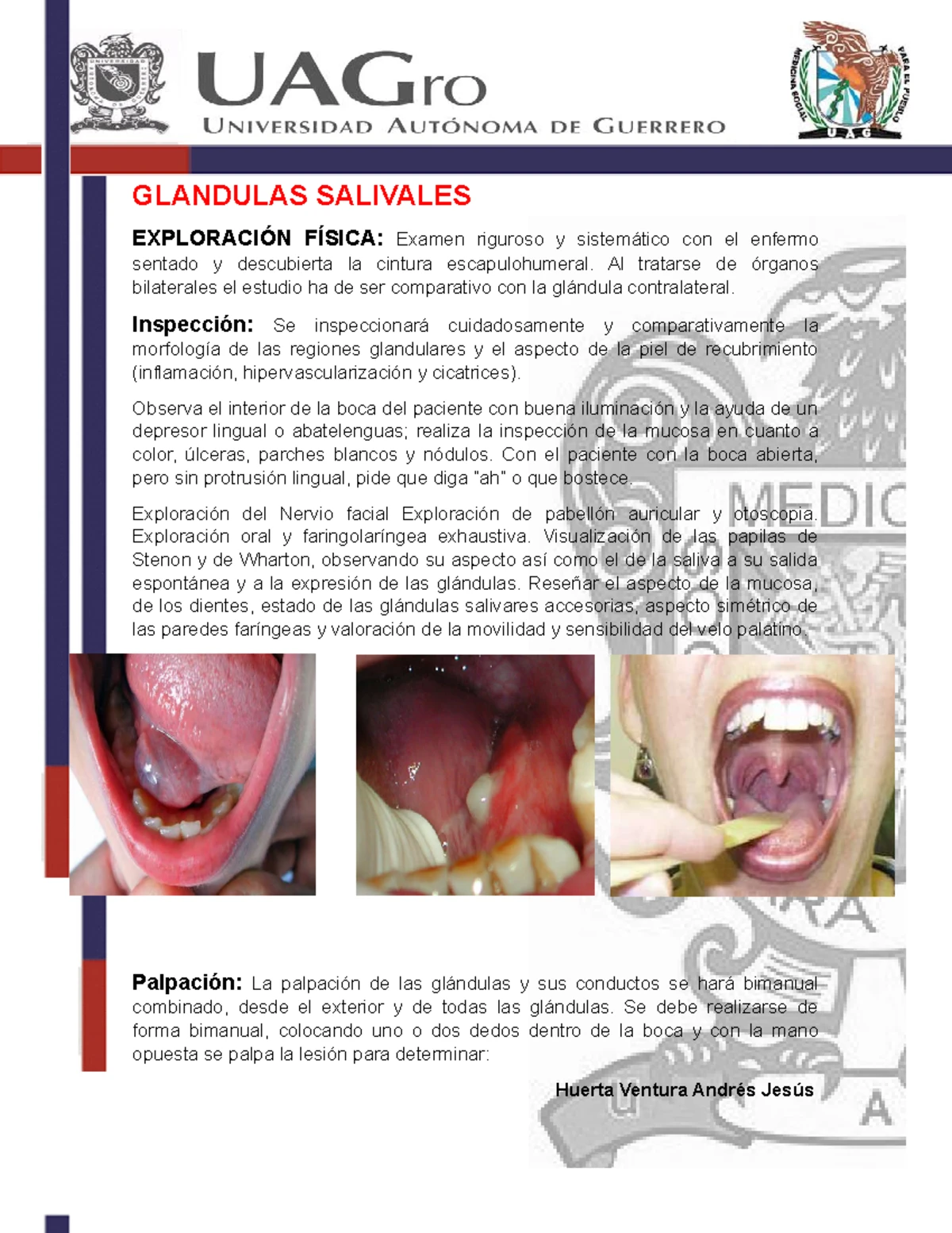 Guía de Selección para el XLVIII ENARM 2024: Proceso y Consideraciones ...