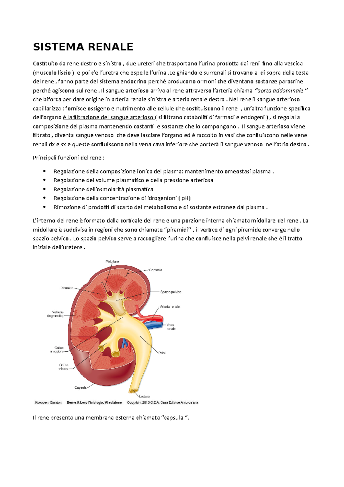 7) Sistema renale - Sbobine di Fisiologia del corso di laurea in ...