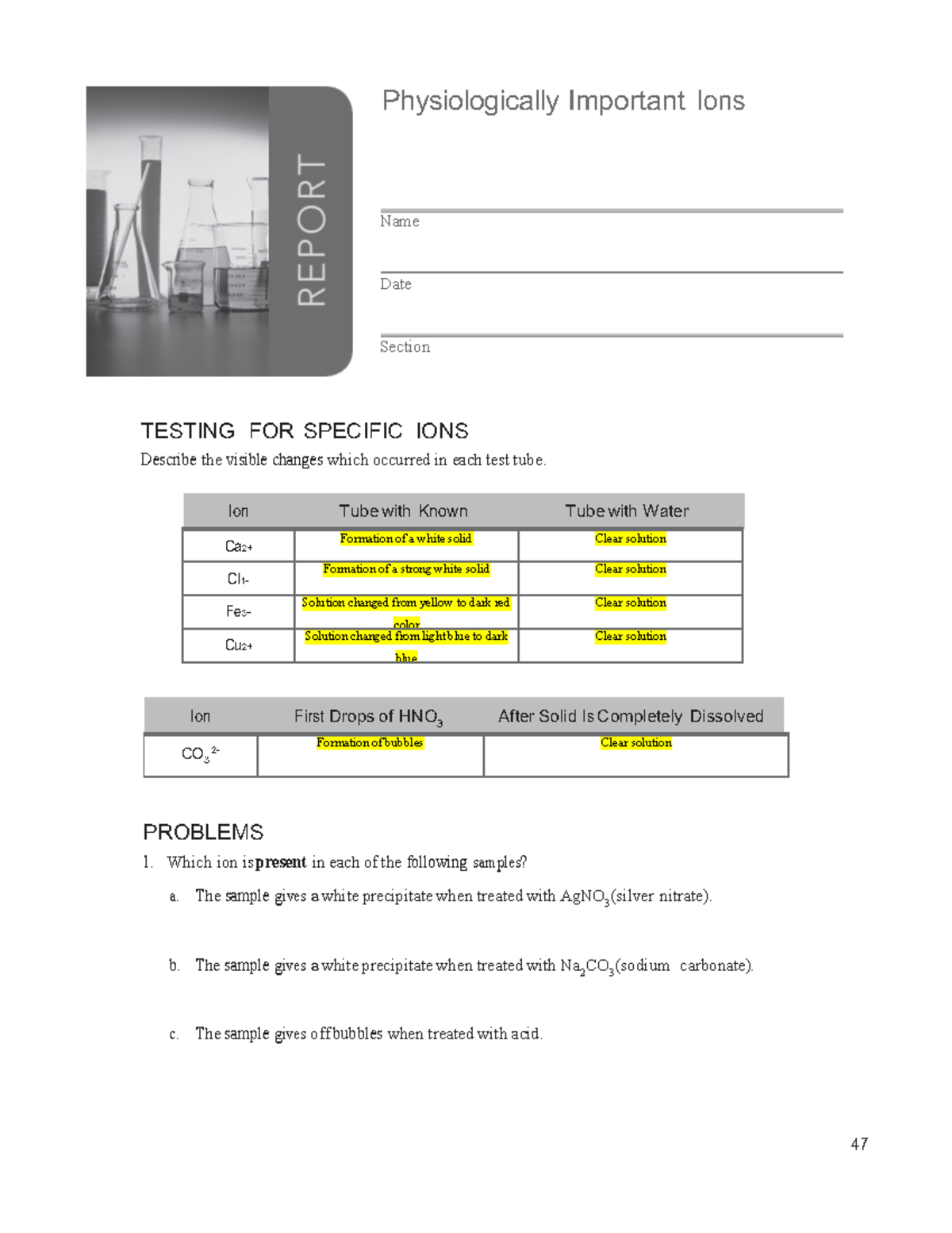 CH 5 Chemistry Lab Report: Testing for Physiologically Important Ions ...