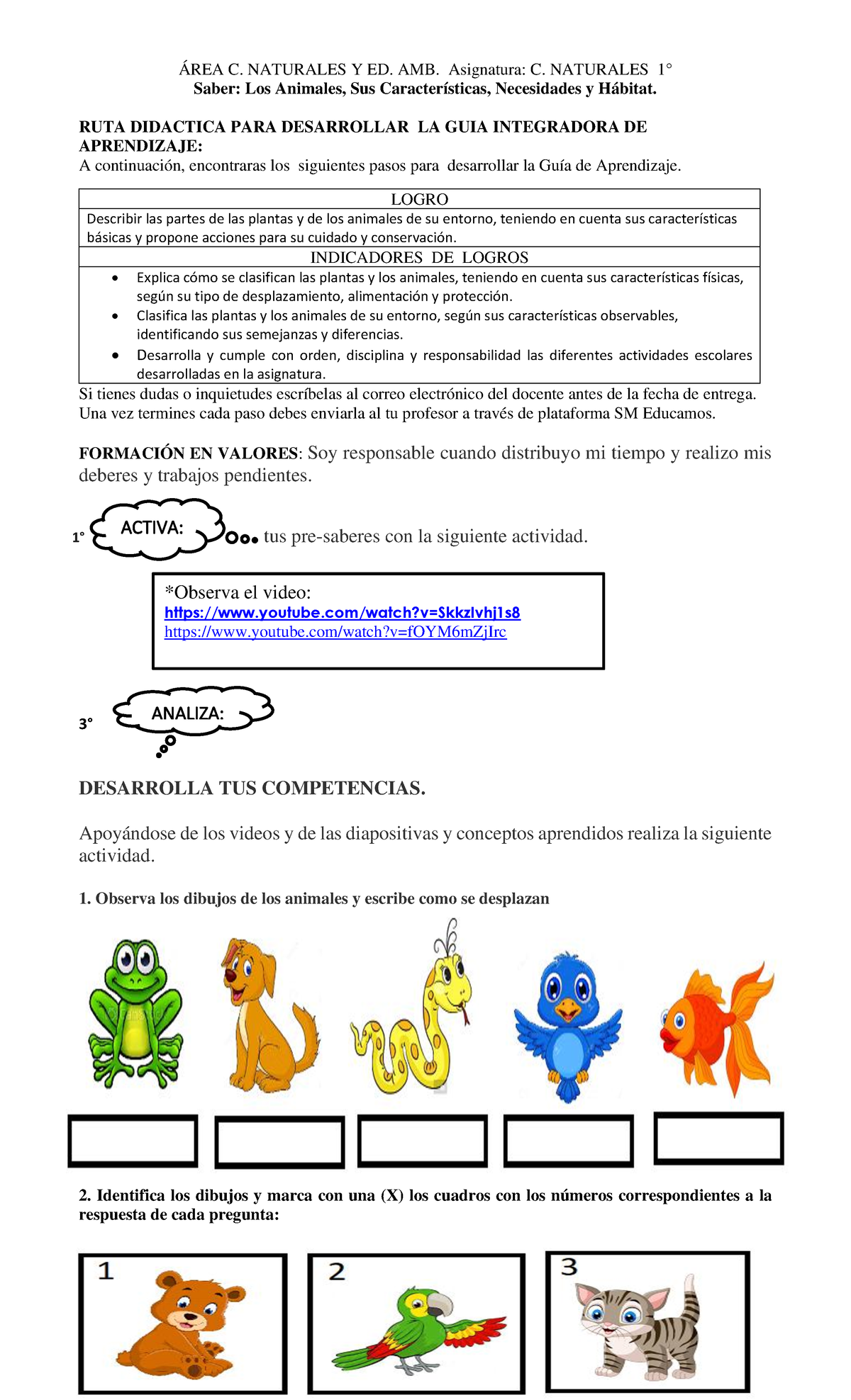 Guía No2 C. Naturales Grado 1°: Animales, Características y Hábitat ...