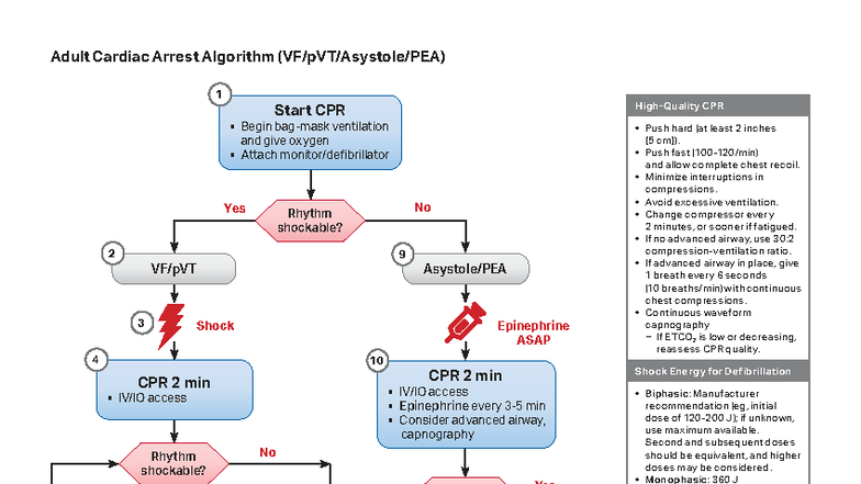 ACLS CA 250527: Adult Cardiac Arrest Algorithm Guide - Studocu