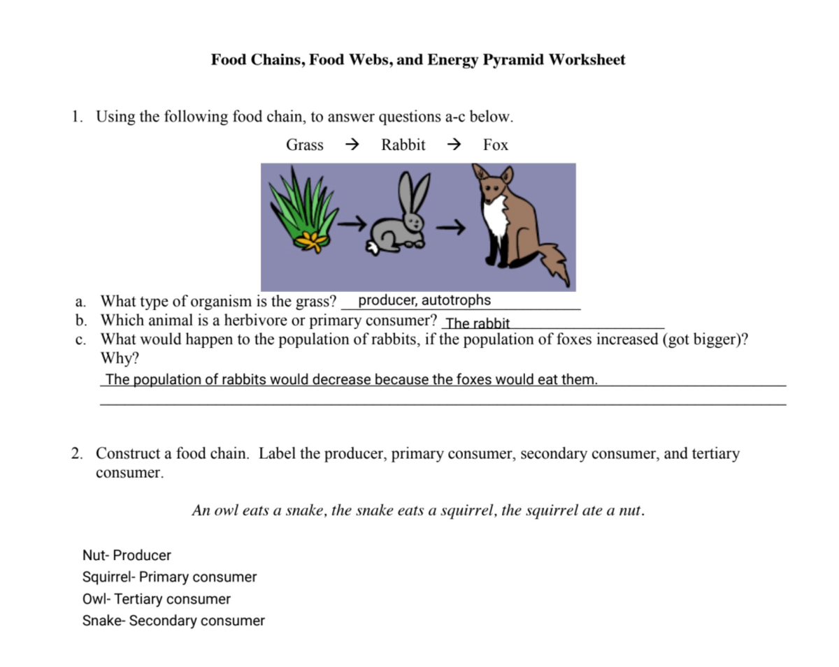 Food Chains, Food Webs, and Energy Pyramid Worksheet - Using the ...