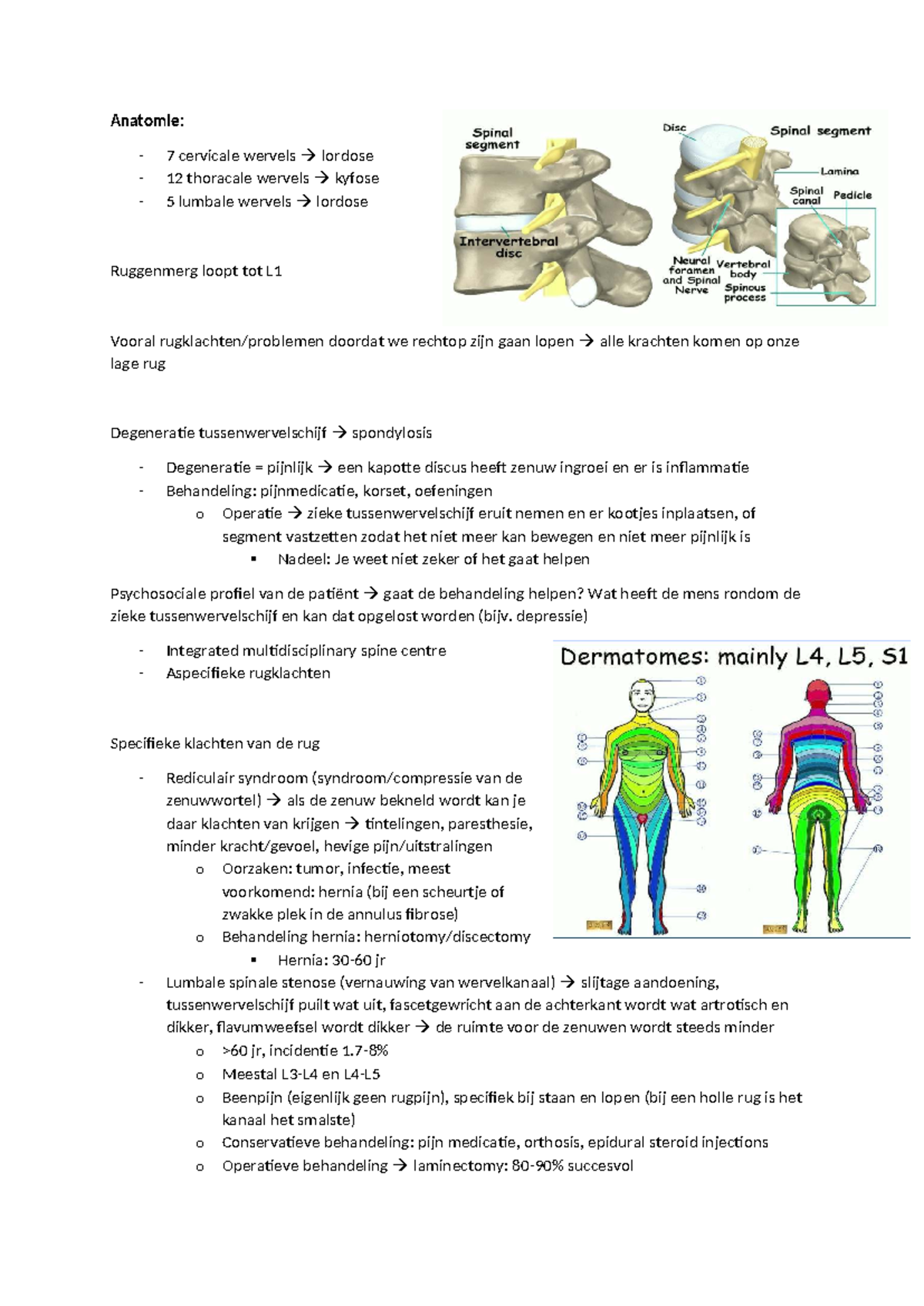 Wervelkolom: Anatomie, Aandoeningen en Behandelingen van de Rug ...