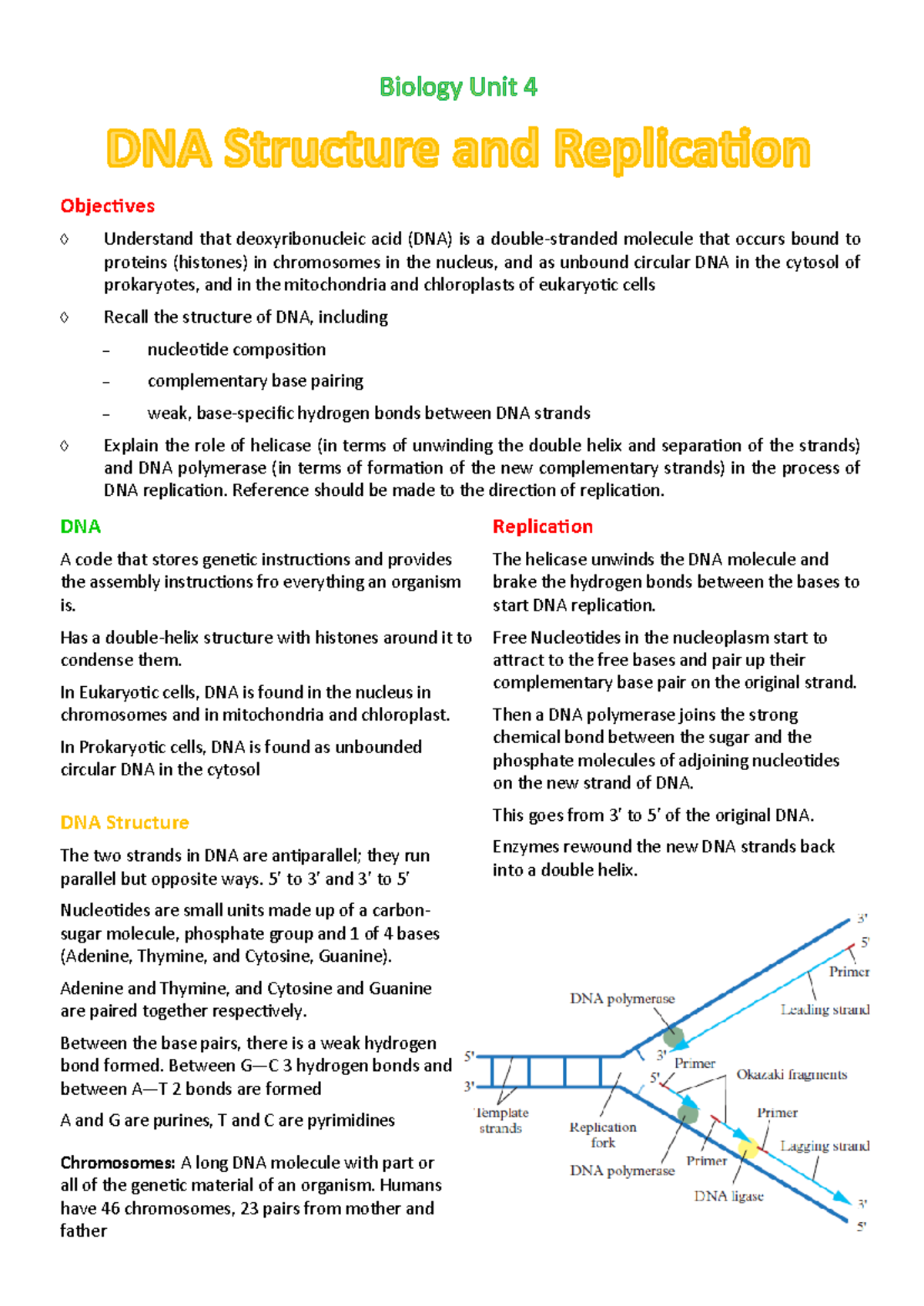 Bio 101 Unit 4 Summary: DNA Structure, Replication & Gene Expression ...