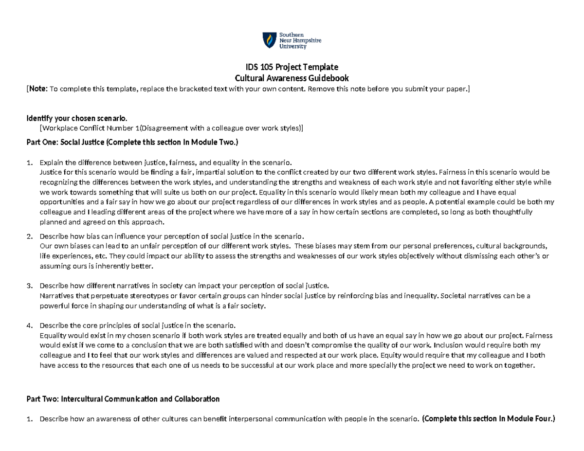 IDS 105 Project Template: Cultural Awareness & Social Justice Guide ...