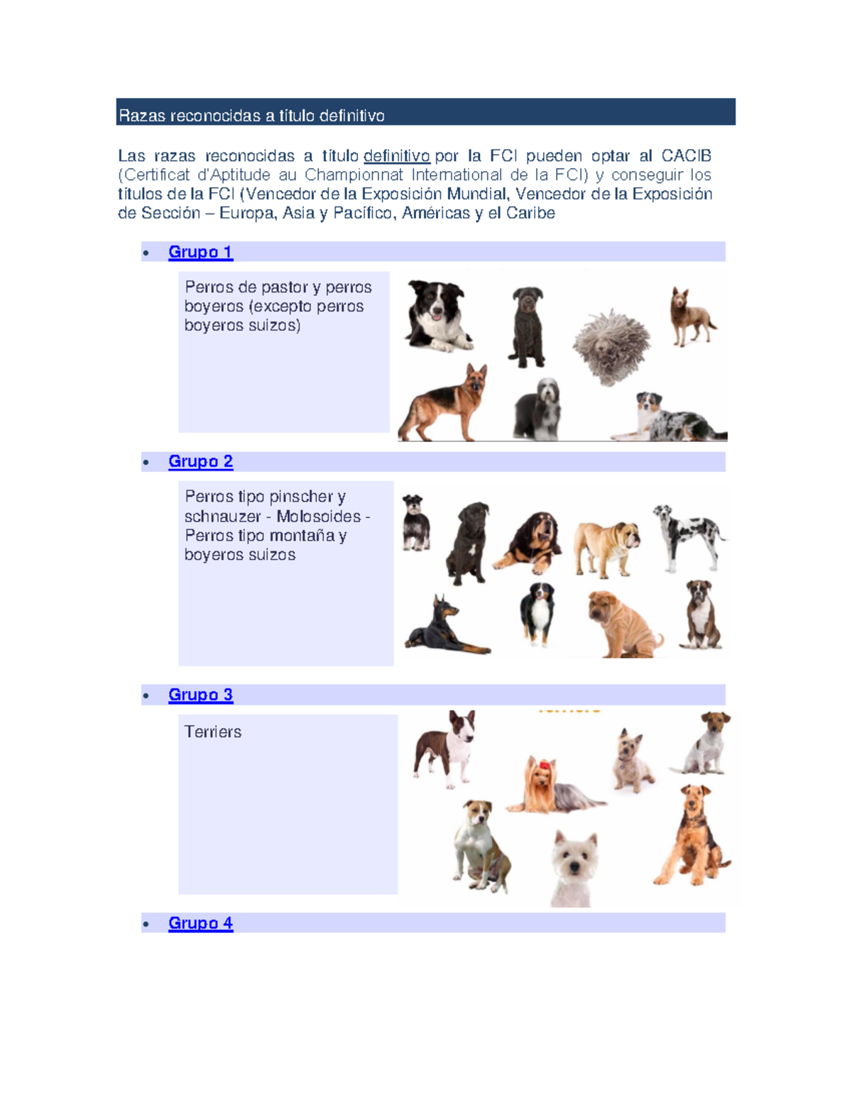 Razas de Perros: Clasificación por la FCI y sus Grupos - Studocu
