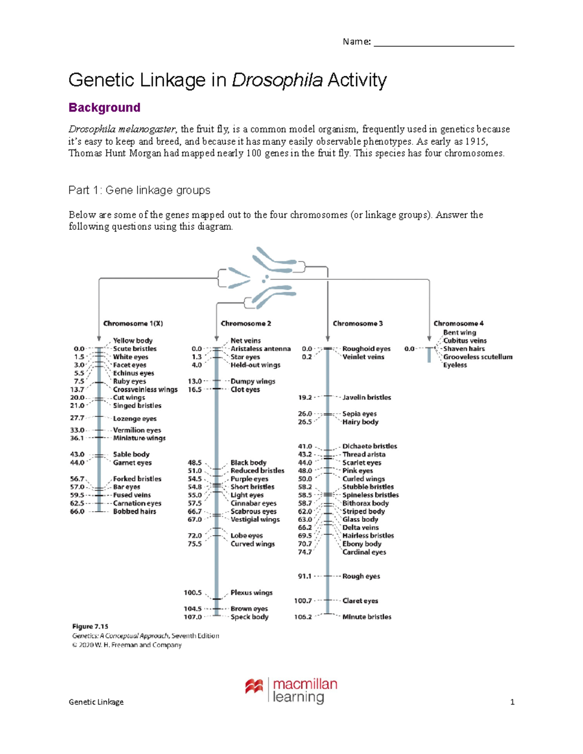 Gene Linkage Worksheet