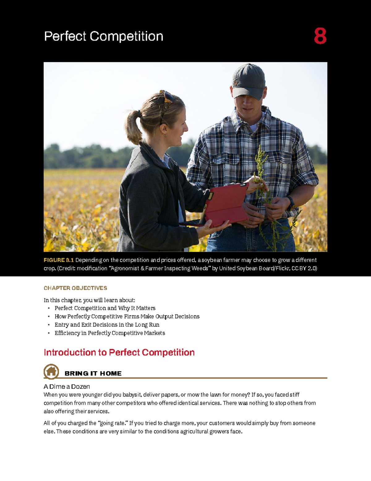 Chapter 08: Perfect Competition - Understanding Market Dynamics and ...
