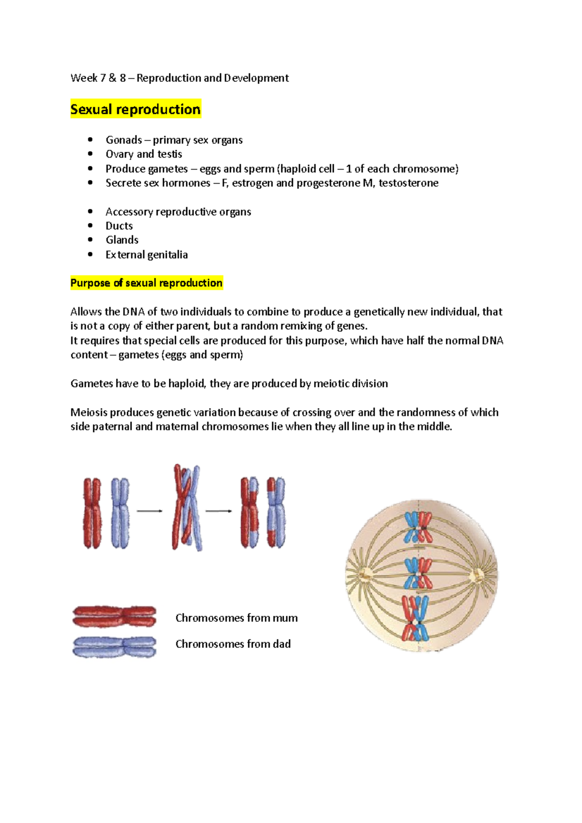 Week 7 - Various lecture notes - Week 7 & 8 – Reproduction and ...