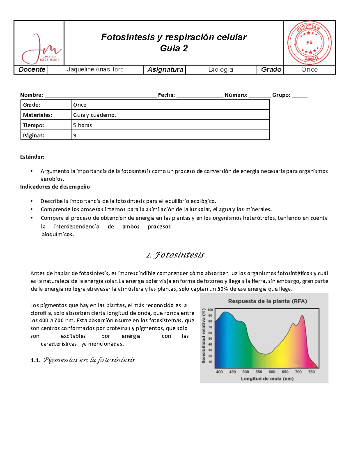Guía 2: Fotosíntesis y Respiración Celular - Biología Grado Once - Studocu