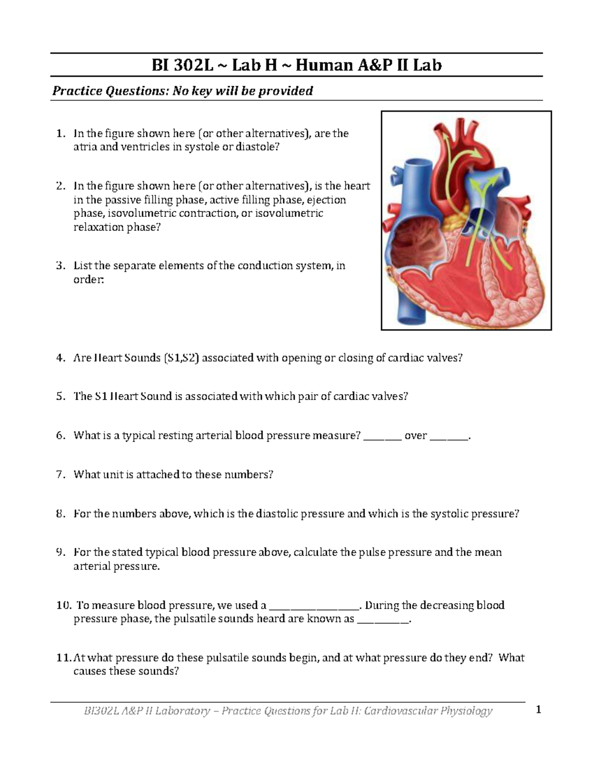 BI302L A&P II Lab H: Cardiovascular Physiology Practice Q&A - Studocu