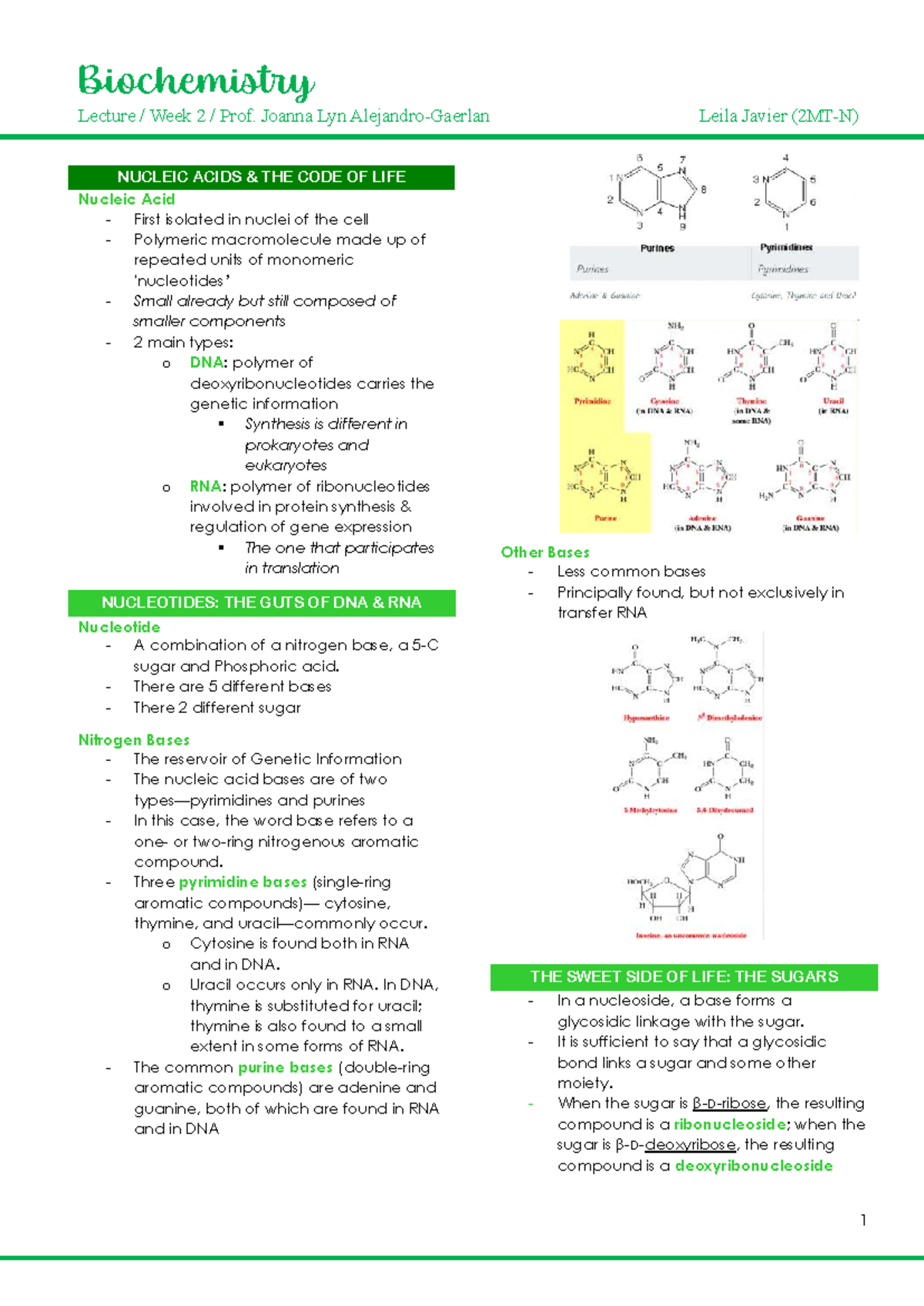 Biochemistry Lecture Notes: Week 2 - Nucleic Acids & DNA Structure (2MT ...