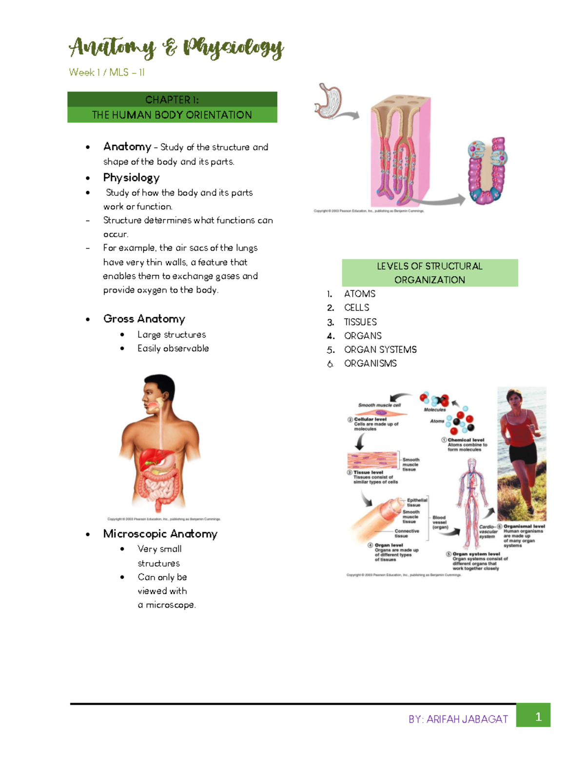 Anatomy & Physiology Week 1 Overview MLS 1I: Human Body Orientation ...