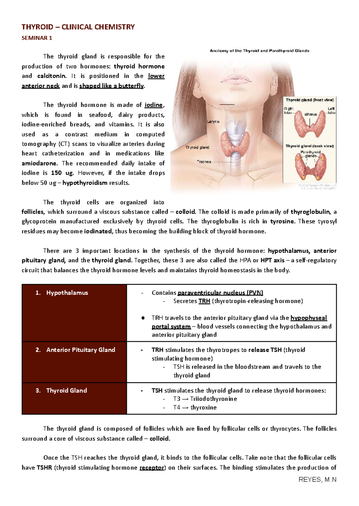Thyroid & Adrenal Cortex Overview - CC Seminar 1 Notes - Studocu