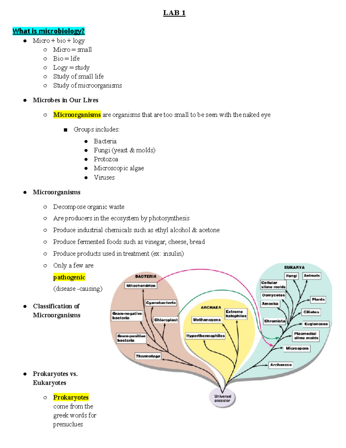 LAB 1 Microbiology Practicum Notes: Microorganisms & Their Roles - Studocu