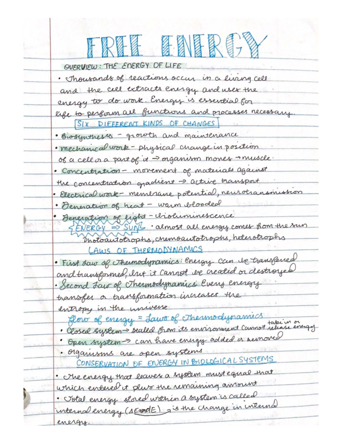 BIO 101: FREE ENERGY OVERVIEW AND THERMODYNAMICS LAWS - Studocu