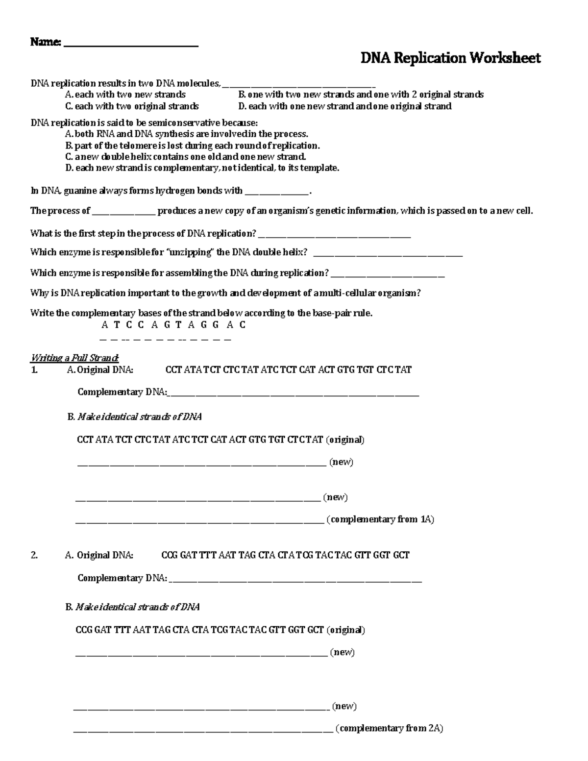 DNA Replication Worksheet (BIO 101) - Studocu