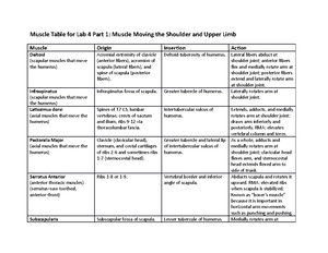 1410 Sample 2022 - practice - BIOL 1410 ANATOMY OF THE HUMAN BODY ...