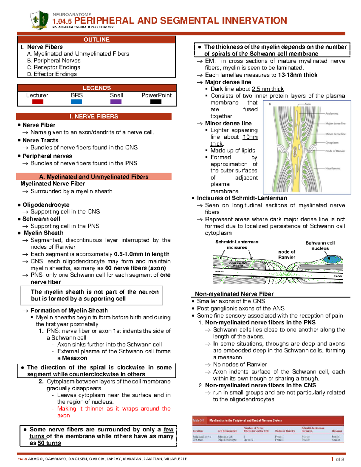 NEURO 1.05 Peripheral and Segmental Innervation Overview by Dr. Nica ...