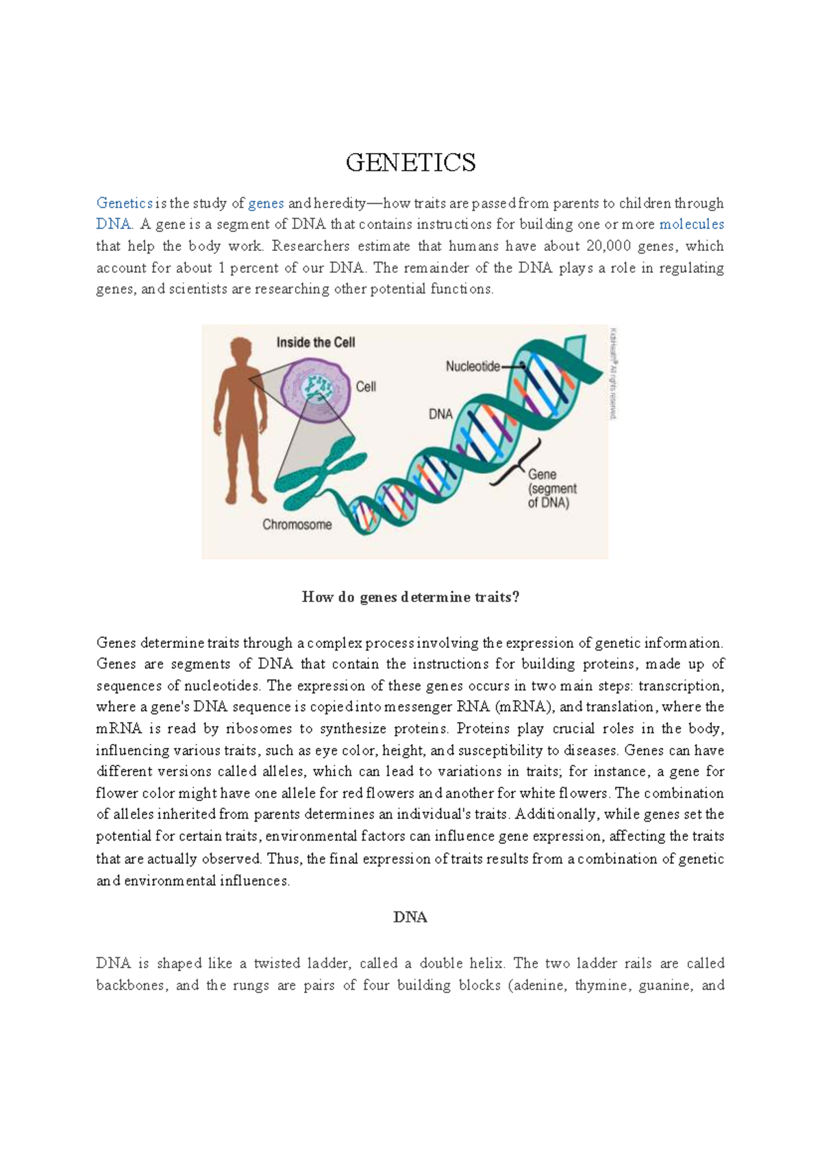 Genetics Reporting 1: Overview of Genes, DNA, and Inheritance Concepts ...