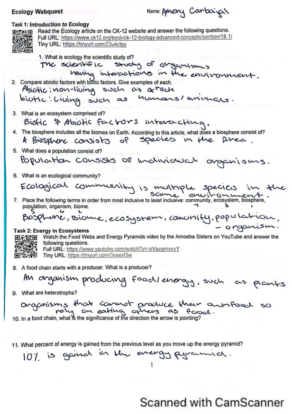 Ecology Webquest: Understanding Ecosystems and Relationships (BIO 101 ...