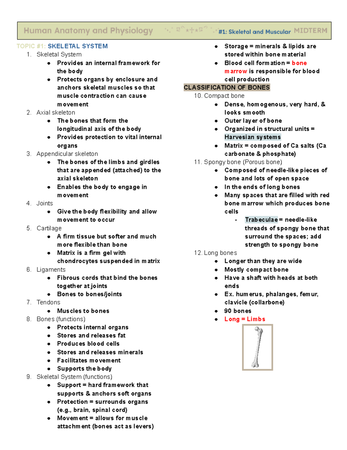 [Anaphy] MID - Notes #1: Skeletal & Muscular Systems Overview - Studocu
