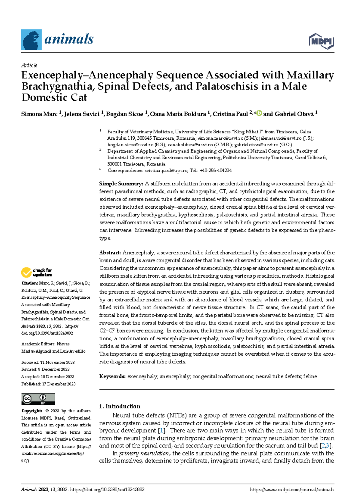 Exencephaly–Anencephaly Sequence in a Male Cat: Spinal and Maxillary ...