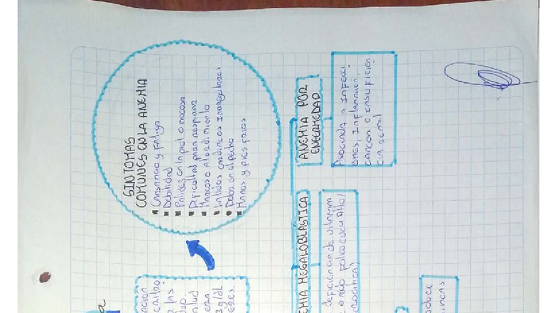 Anemia: Síntomas, Causas y Tratamientos - PARRACES 2025 - Studocu