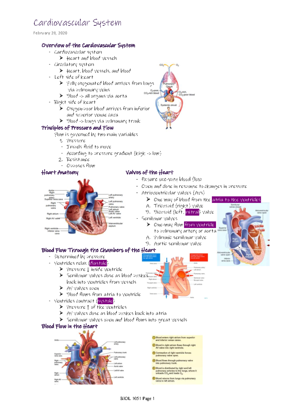 BIOL 1051: Overview of the Cardiovascular System and Its Functions ...