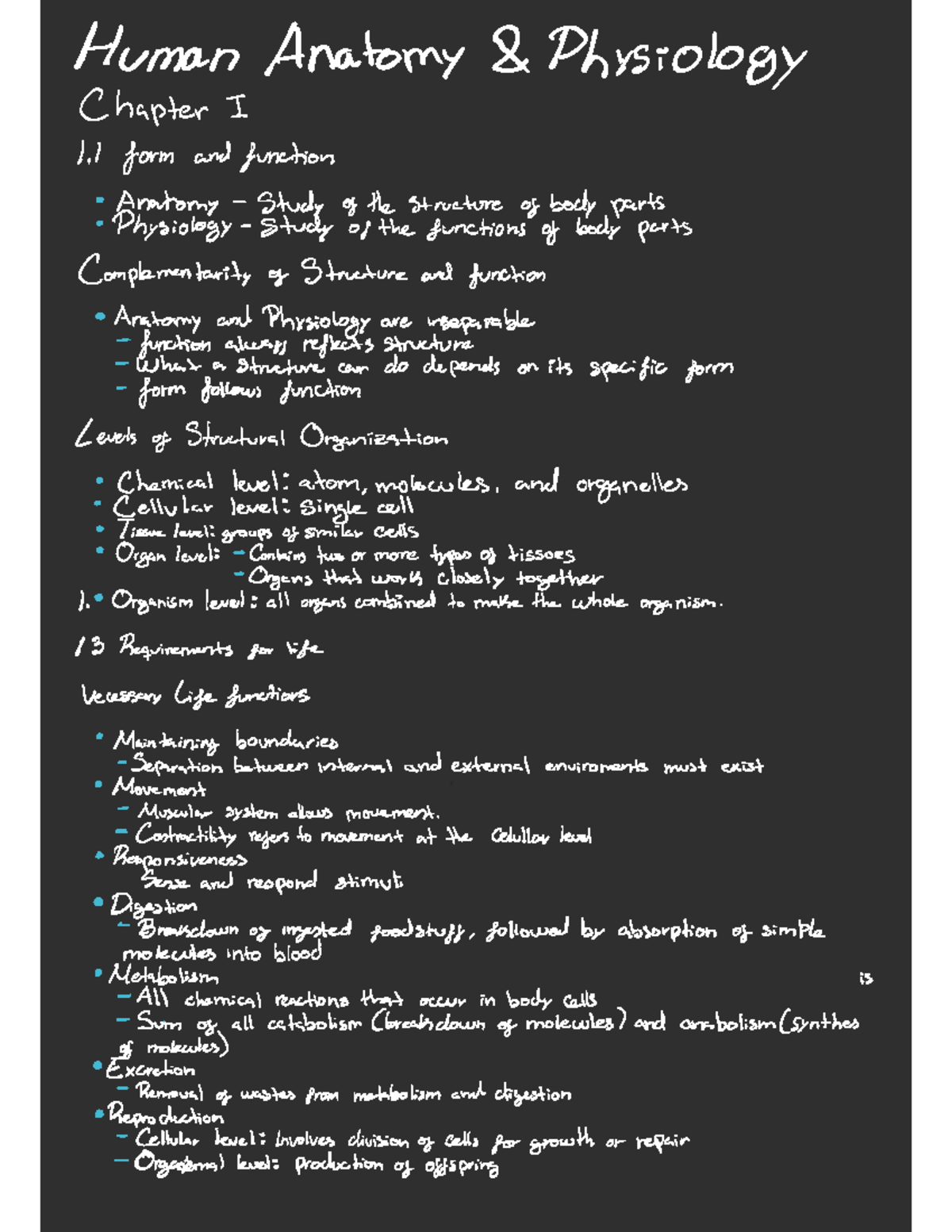 Final Exam Review Notes for Human Anatomy & Physiology (XYZ 101) - Studocu