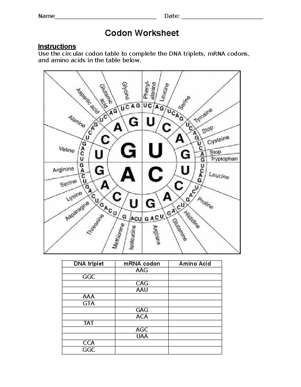 Codon Worksheet: DNA Triplets, mRNA Codons, and Amino Acids - Studocu